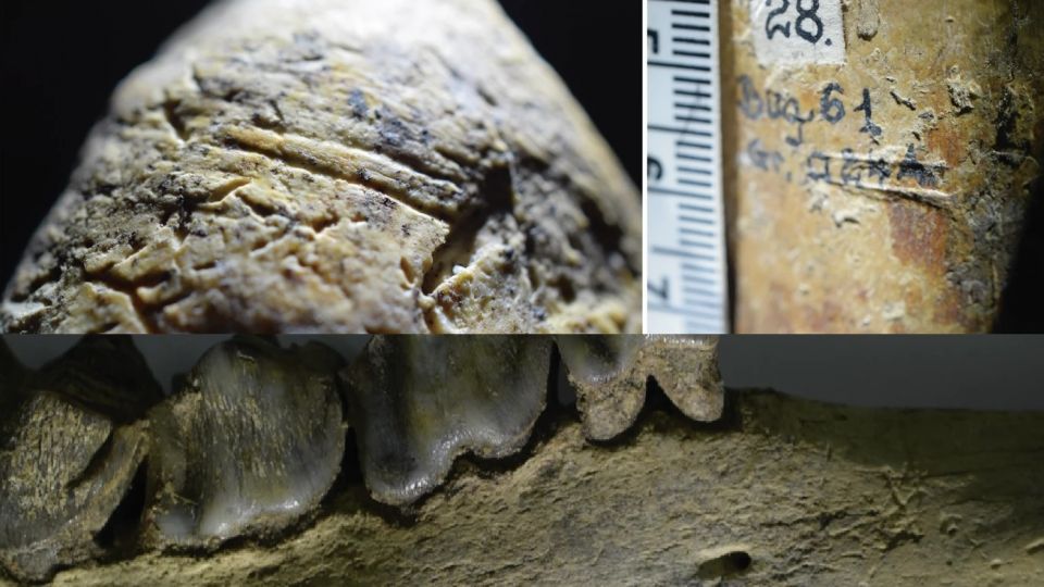 Early humans in Europe 200,000 years earlier than thought, study finds