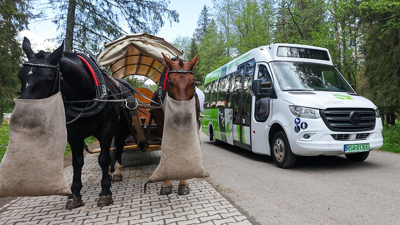 Zakopane. Konie nad Morskim Okiem będą woziły turystów na krótszej ...