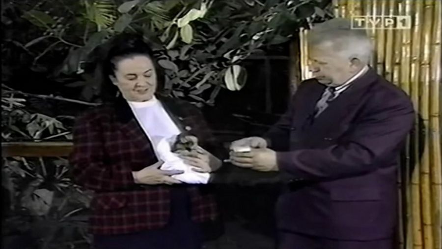 Cykl o legendach Telewizji Polskiej. Wspominamy Hannę i Antoniego ...