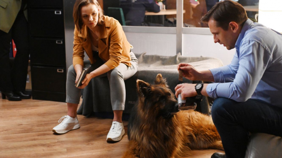 Komisarz Alex - odc. 244 (seria XX, odc. 2) "Nocny dyżur"