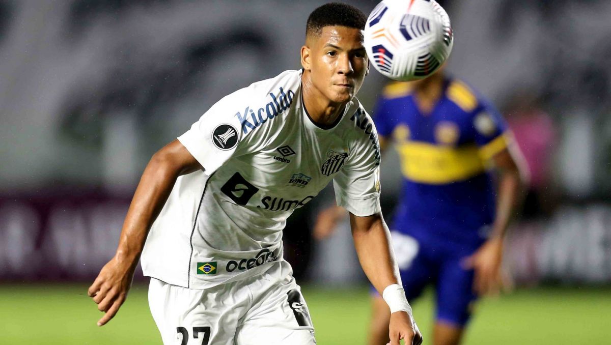 Angelo Gabriel nowym zawodnikiem Chelsea | TVP SPORT